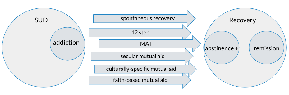 Multiple pathways as a disruptor: from what to what? – Recovery Review