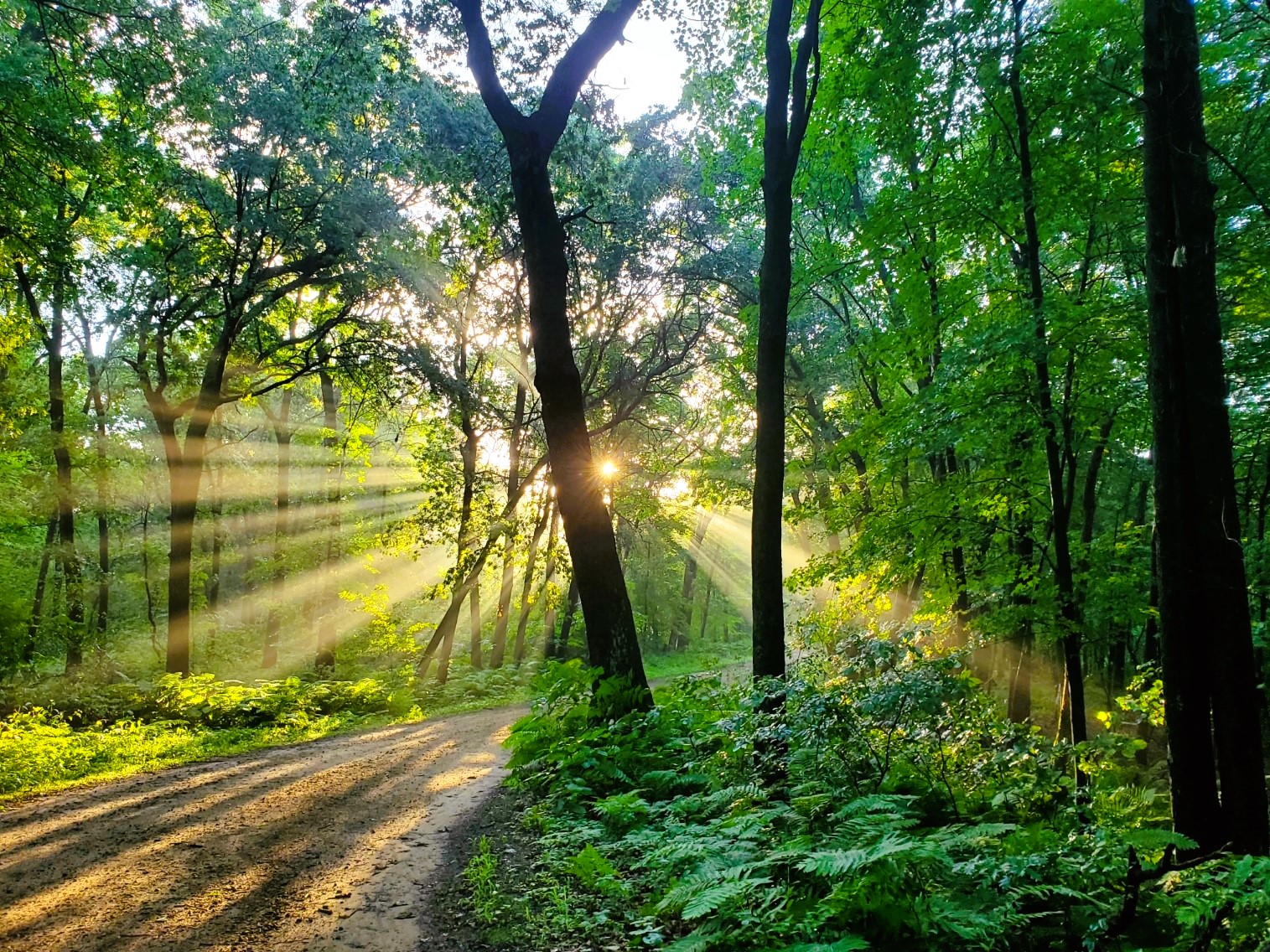 Ways of Knowing and Our AOD Treatment & Recovery Workforce – Recovery ...