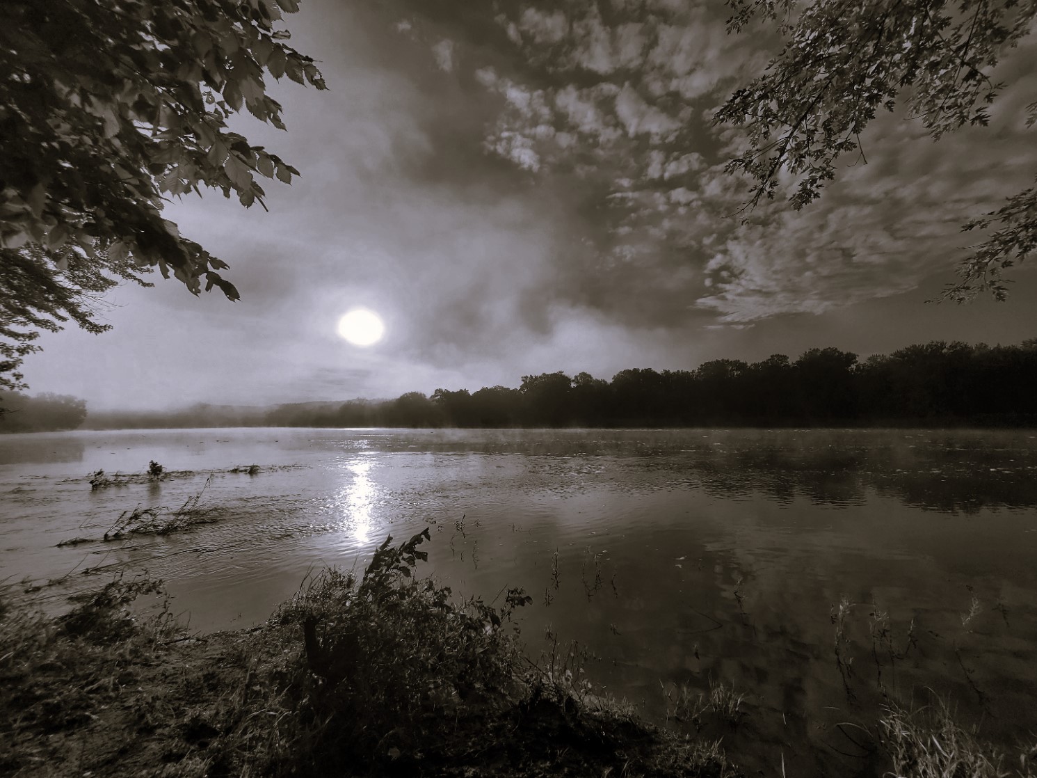 Swimming In the River Lethe: Immersion in Un-mindfulness of our Own ...