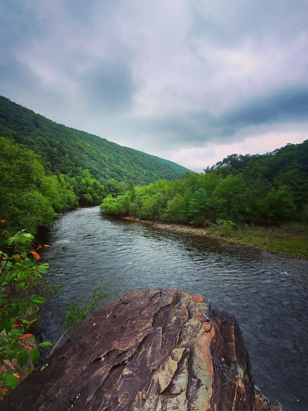 2025’s Top Posts – #9 – History Repeating – the “Opioid” Epidemic ...